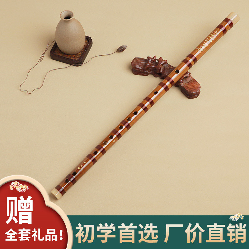 Ding Yunfeng Beginner Zero Basic Adult Whole Section Chronicle Flute ...