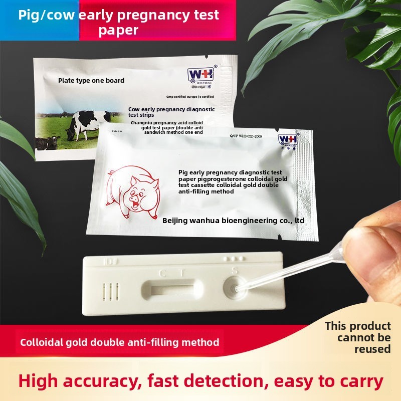 Pregnant Pig Test Pregnancy Test Paper Diagnostic Pig Test Pregnancy ...