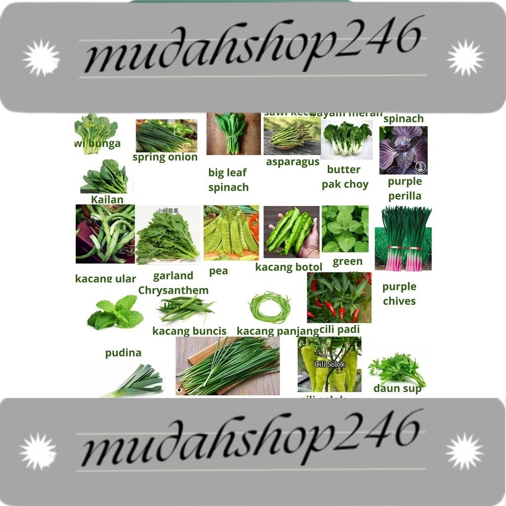 MUDAH AGRO wholesale Biji Benih / Vegetable Seed /FLOWER SEEDS /SAYUR ...