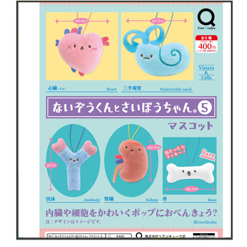 [BTF] Japan QLABO Capsule Toy Internal Organs and Cell Plush Pendant Fifth Bomb Heart Organ 0ZUQ ...