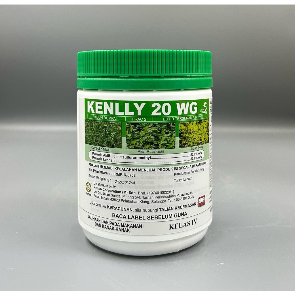 [ORIGINAL] 250G KENLLY 20WG Kenso (Sama Ally) Anak Kayu/Anak Pokok ...