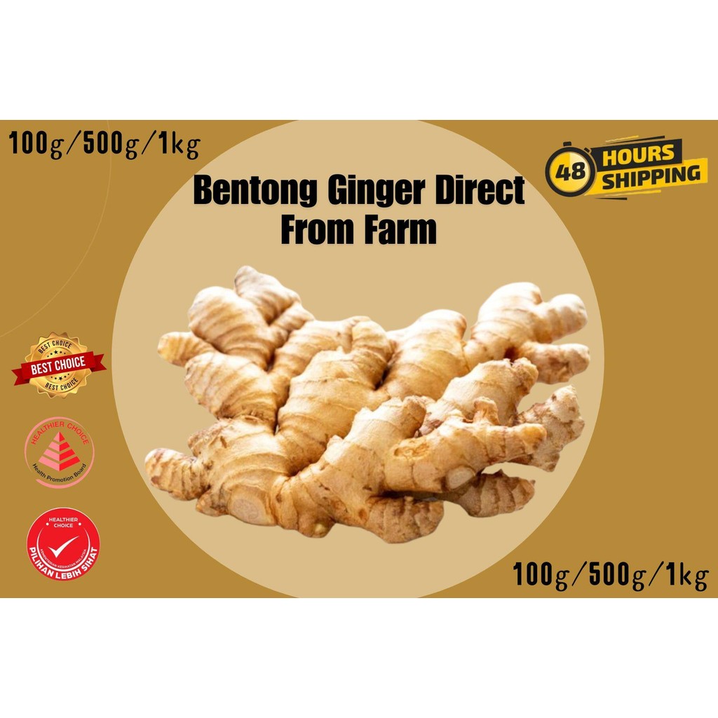 Original Thailand Bentong Old Ginger Traditional Remedies and Culinary ...