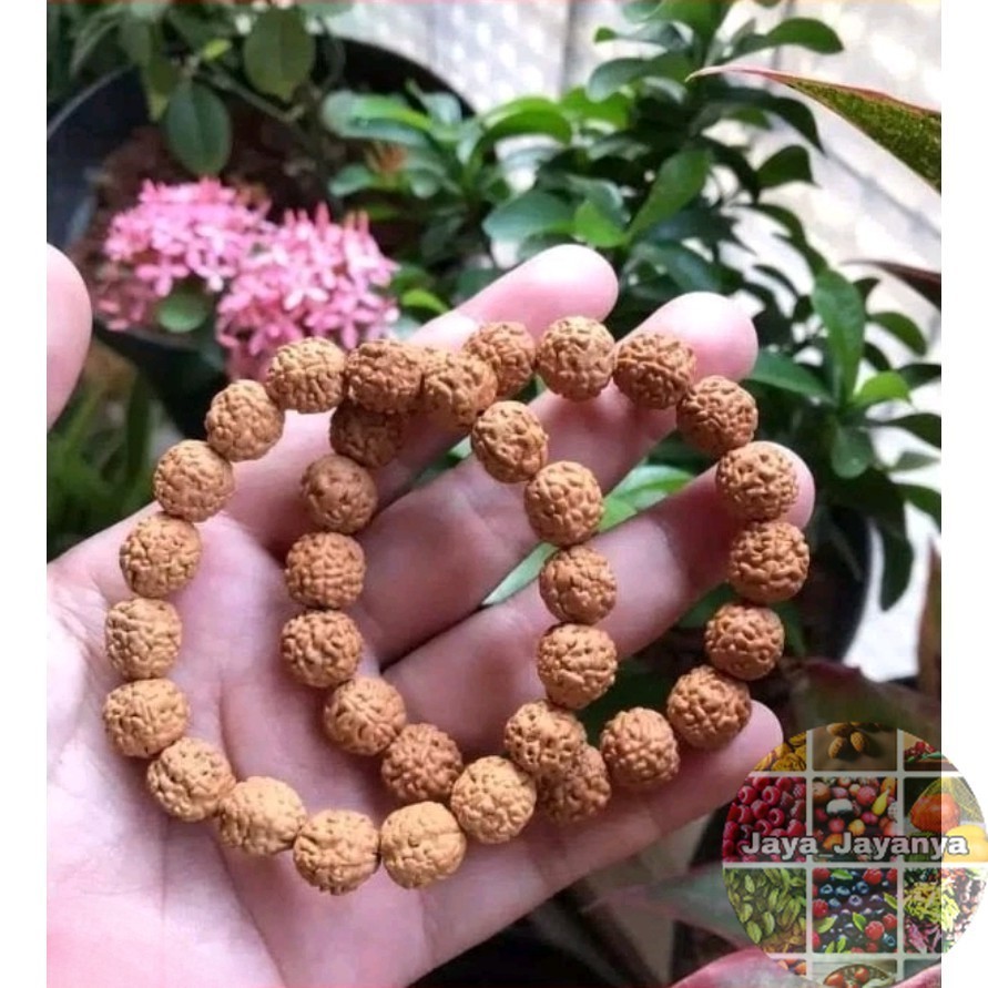 Rudraksha JENITRI BRACELET GANITRI Jaya_Jayanya | Shopee Malaysia