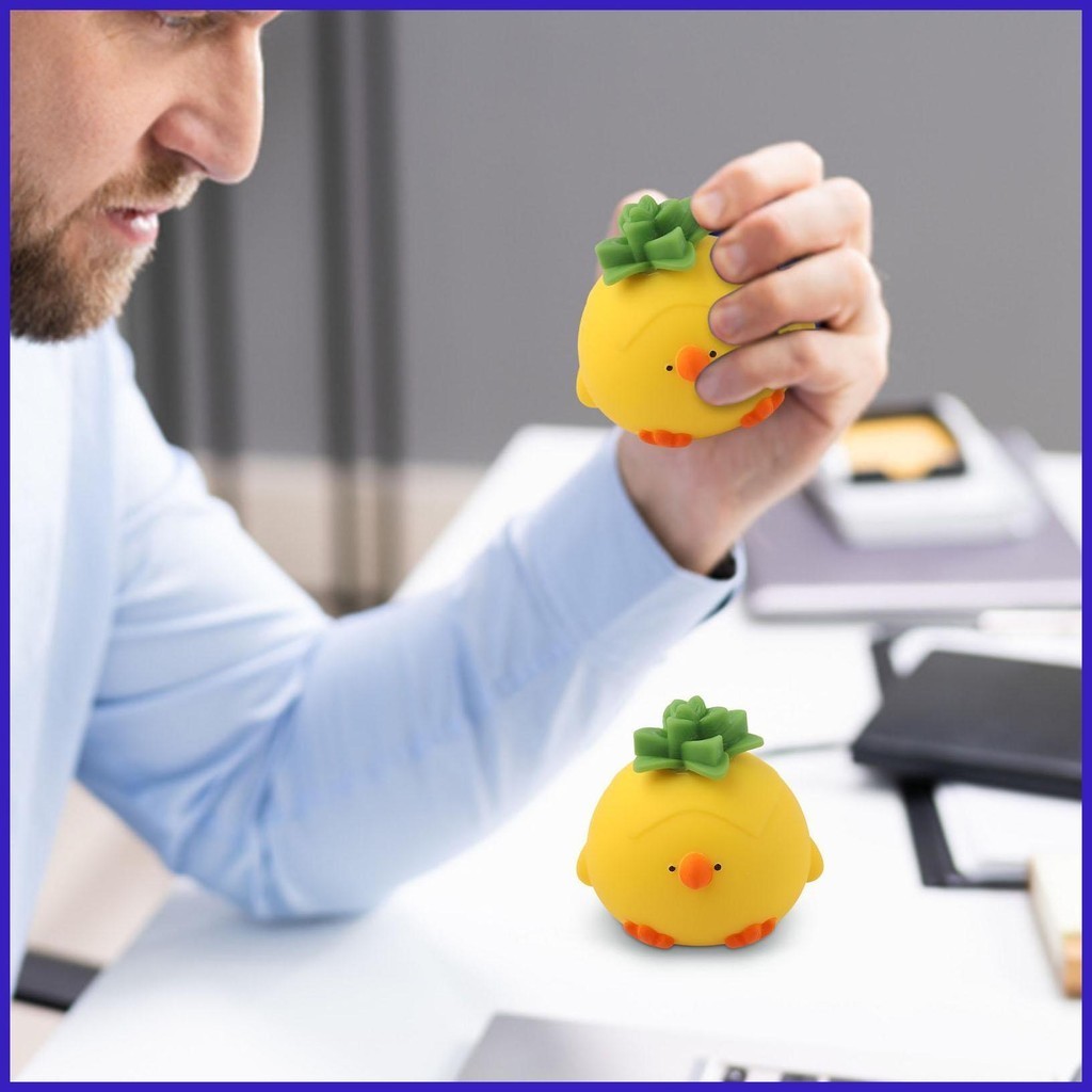 Squeeze Fidget Toys Squeeze Sensory Toys Pineapple Chicken Shaped ...