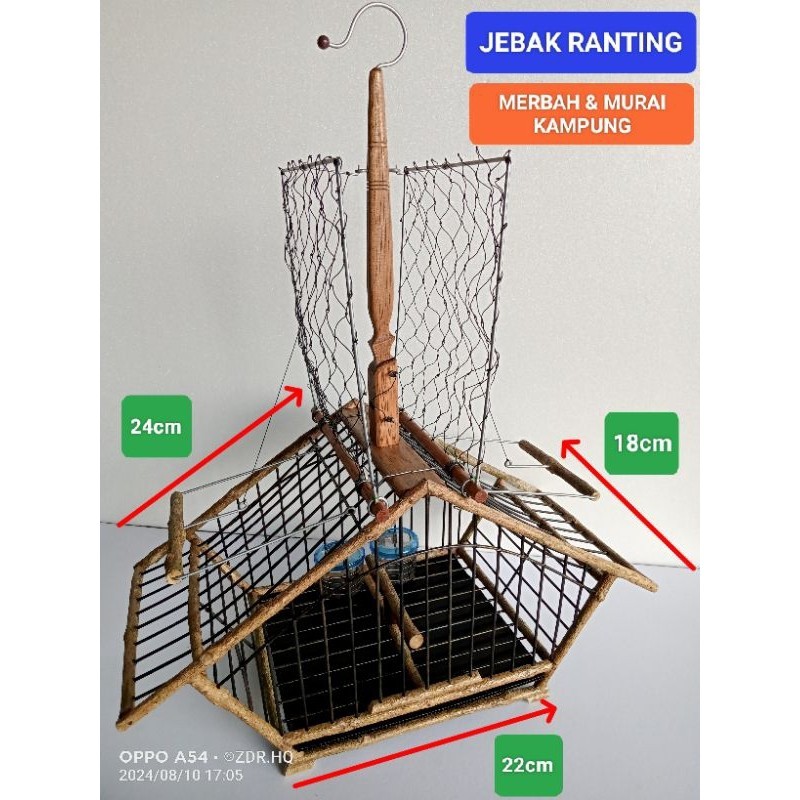 (JEBAK RANTING : MERBAH & MURAI KAMPUNG)jebak burung lekir/birdcage ...