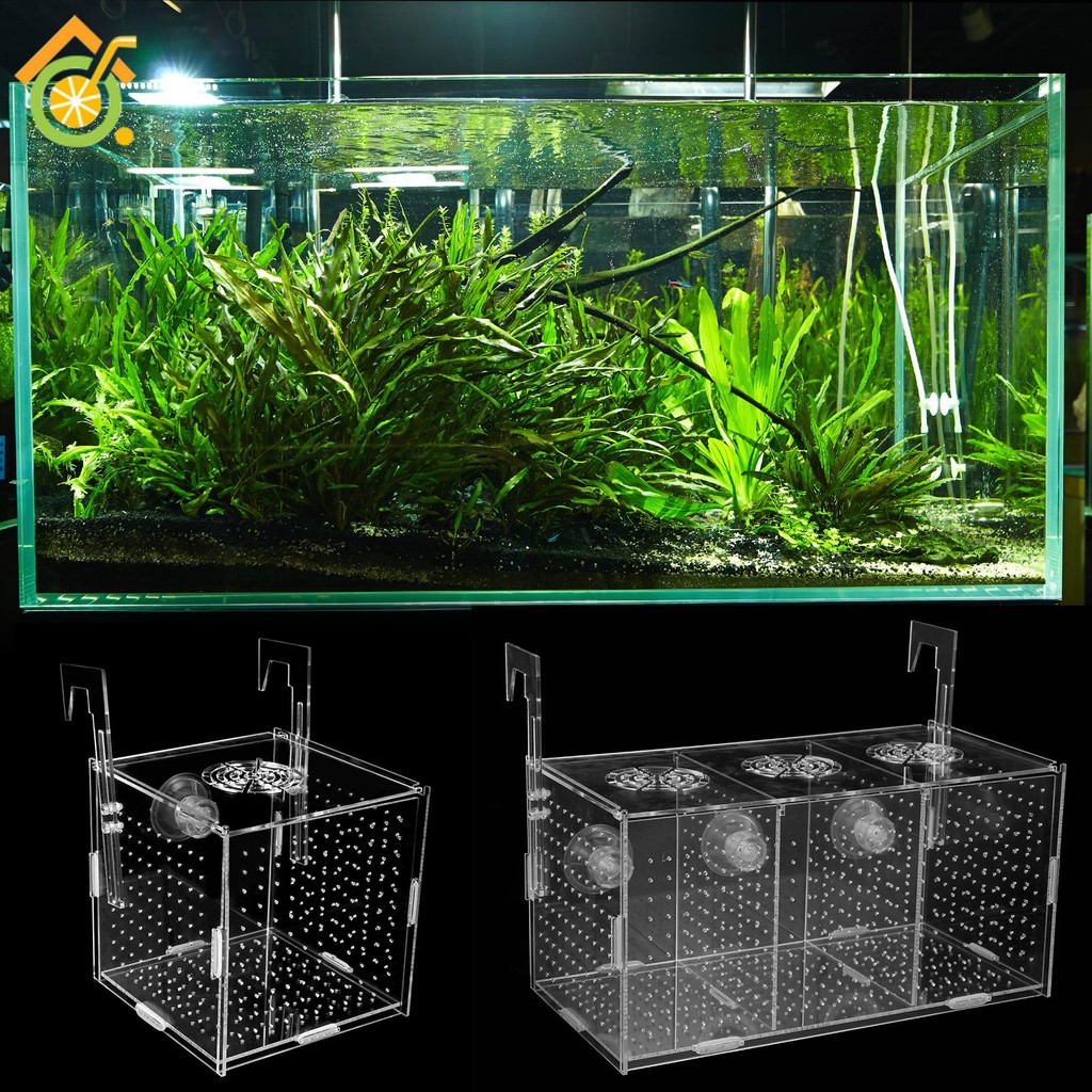 Fish Breeding Box Transparent Fish Isolation Box Acrylic Fish Isolation ...