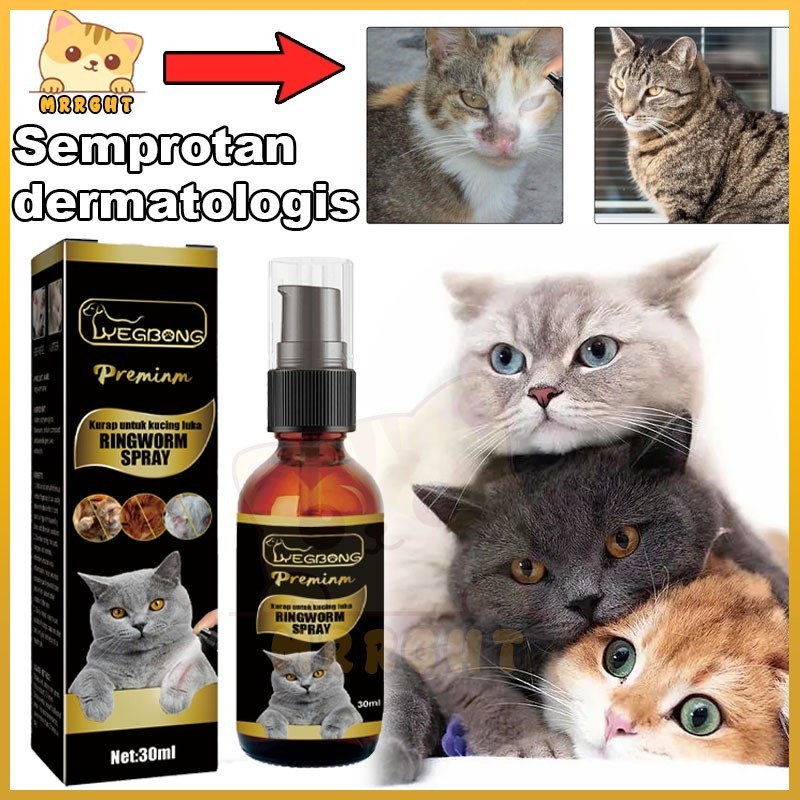 Pet Skin Treatment Spray Anti Scabies Medication Itchy Skin Fungus ...