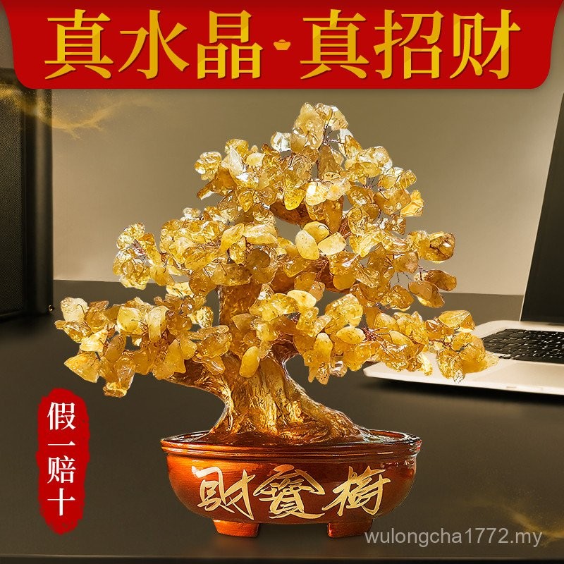 Pokok Kekayaan Hiasan Pokok Wang Kristal Kuning Asli untuk Hadiah ...