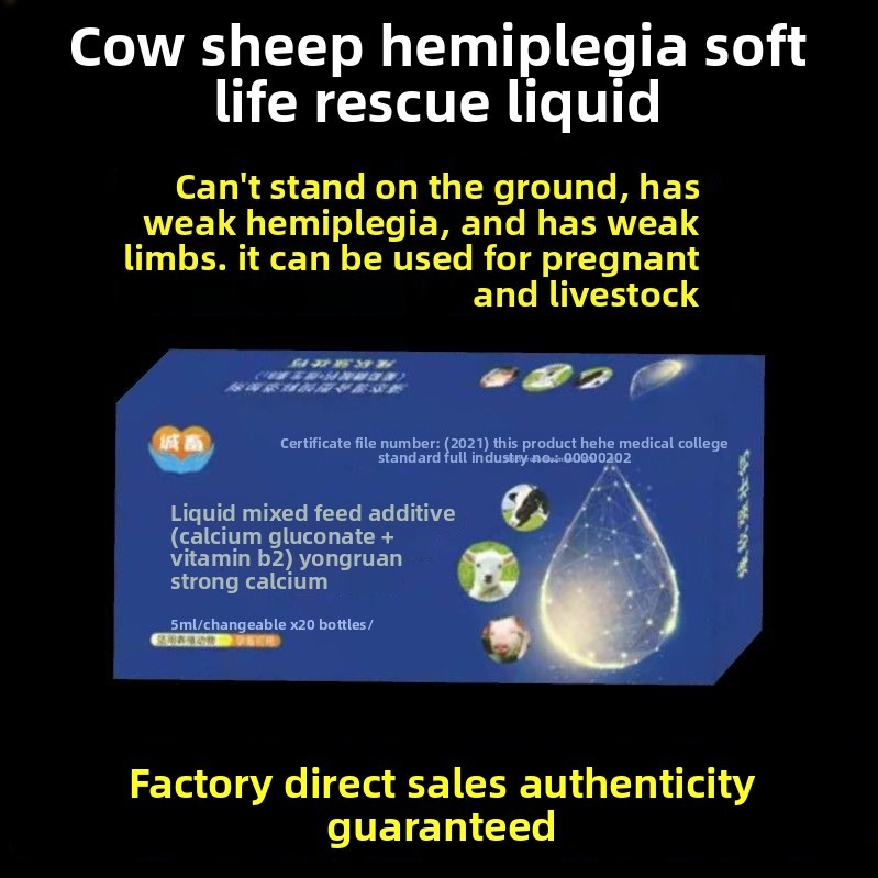 Lamb Unstable Cattle Calf Animal Use Soft Paralysis Soft Spirit Life ...