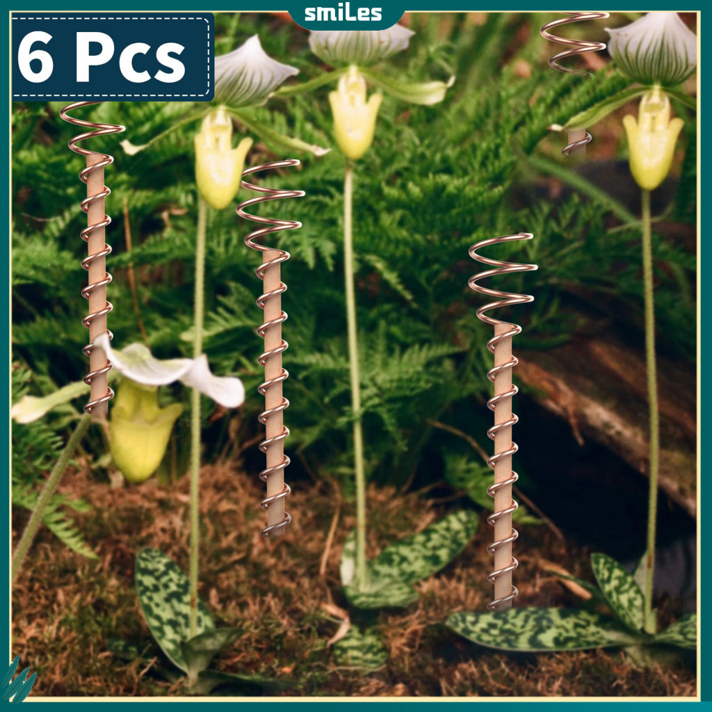 smiles| Plant Growth Principle Copper Stakes 6pcs 12 Inch Electric Grow ...