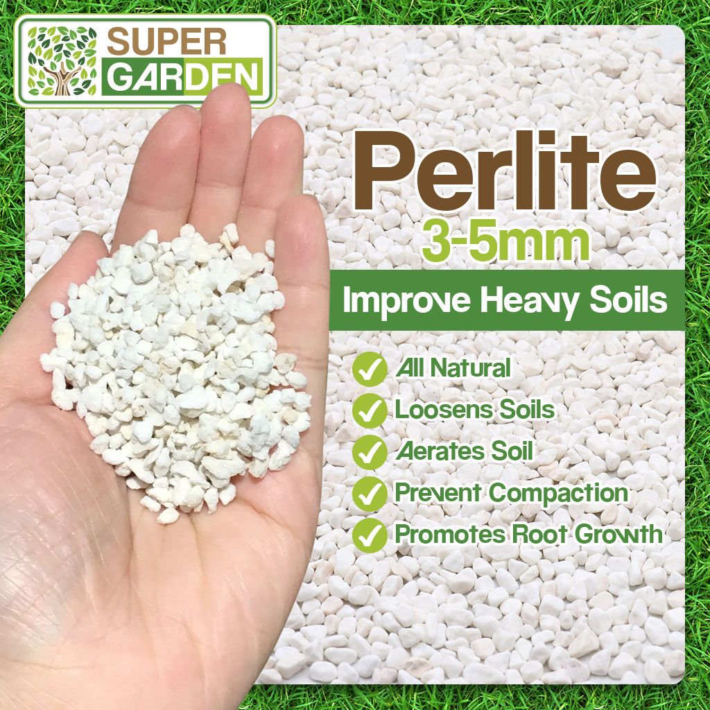 Perlite 珍珠岩 3-5mm For Cactus & Succulents Soil Volcanic Perlite ...