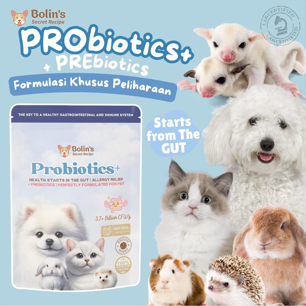Bolin's Secret Recipe - PROBIOTICS Prebiotic Pet Vitamin Supplement Dog ...