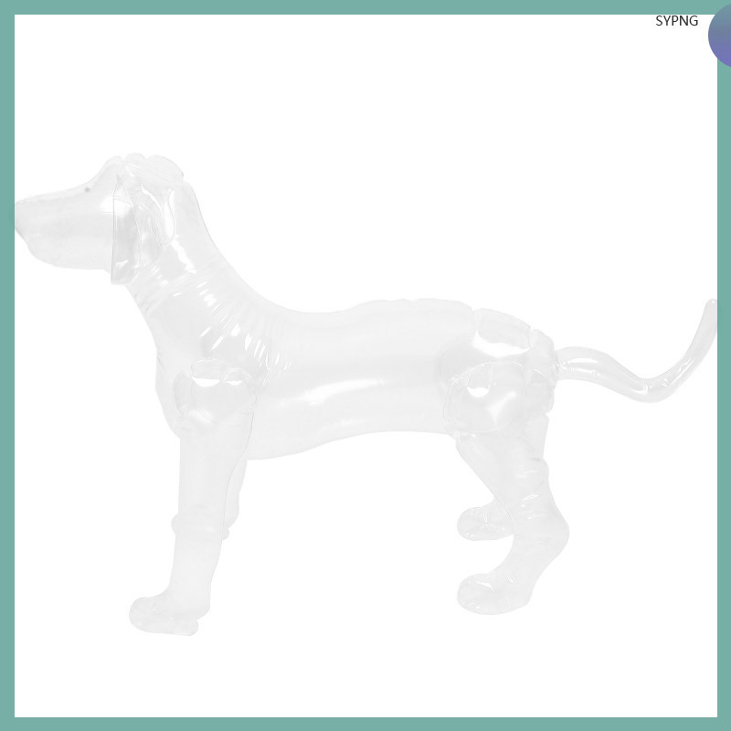 Mannequin Dinosaur Dog Costume Pet Inflatable Clothes Display Model ...