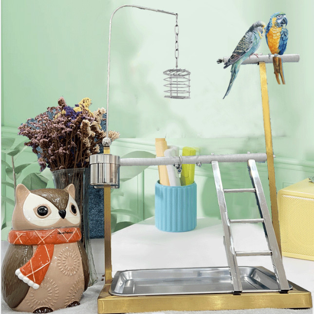 Brand New Stainless Steel Stand, Parrot Desktop Stand Heightened Luxury ...