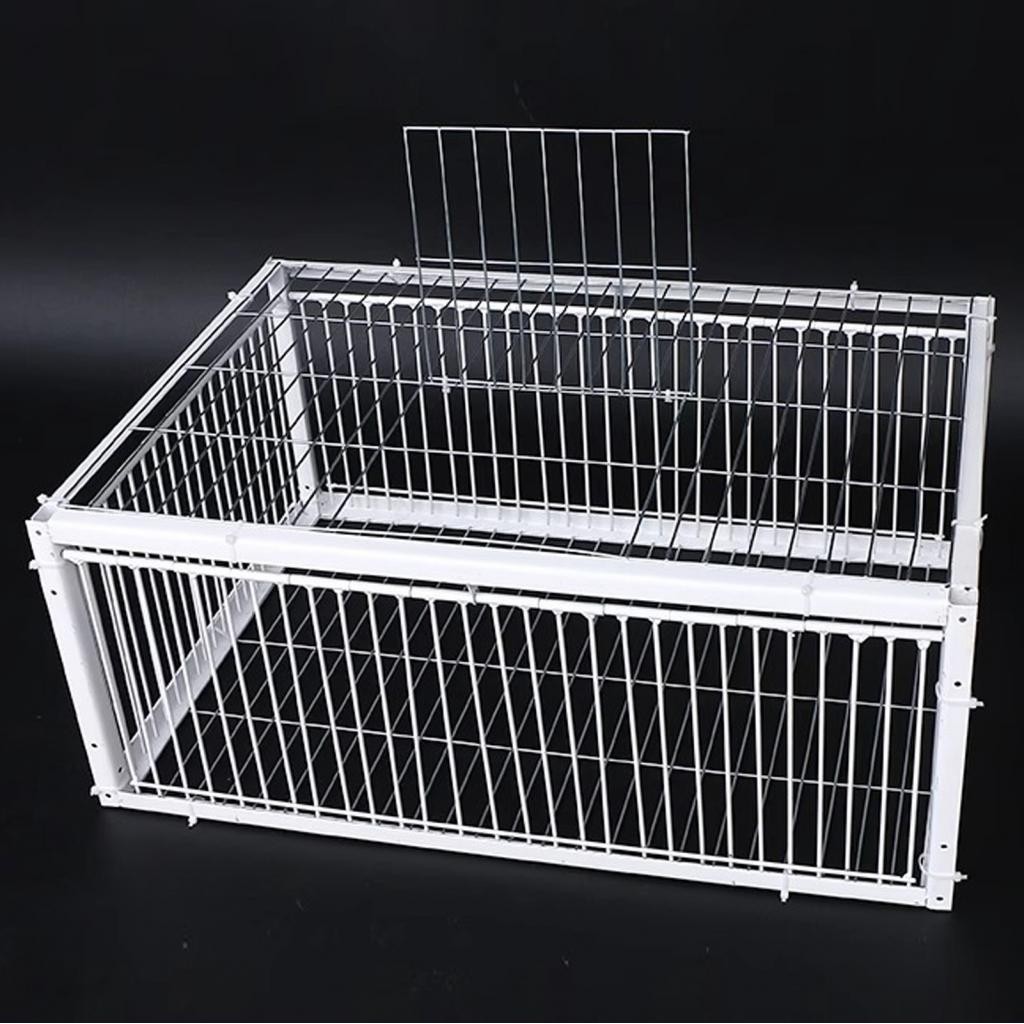 Rubikcube Escape Proof Chicken Bird Trap Cage High Strength Portable ...
