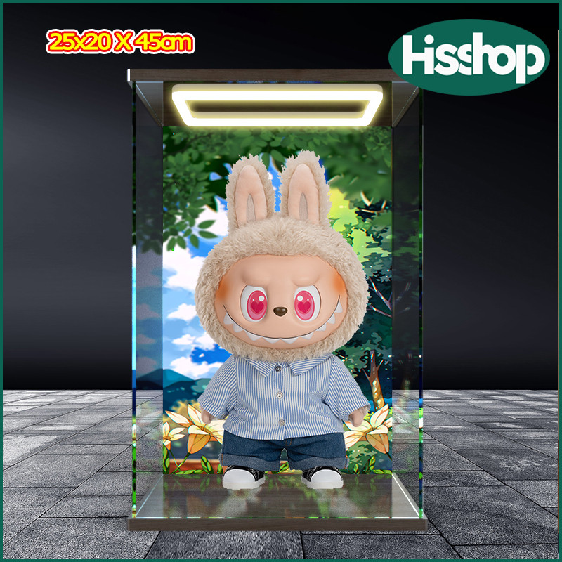 Labubu acrylic box,THE MONSTERS FLIP WITH ME storage box,Labubu model ...