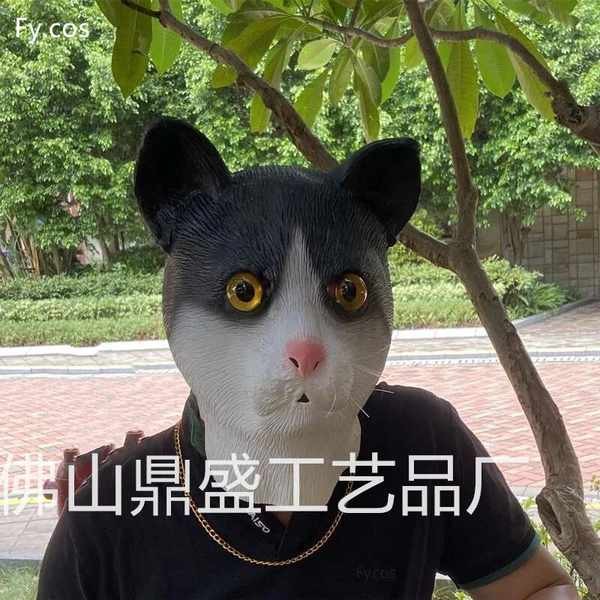 Kucing, bintang, orang, topeng lateks, haiwan Halloween, kepala kucing ...