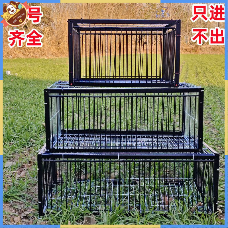 Only-in-No-out Pigoen Cage Trap Door Pigeon Cage Iron Cage Only-in-No ...