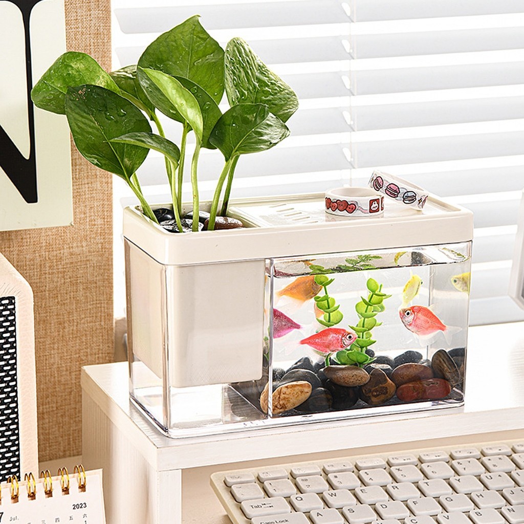 Fish Aquarium Mini Betta Aquarium Desktop Fish Tank Box Small Living ...