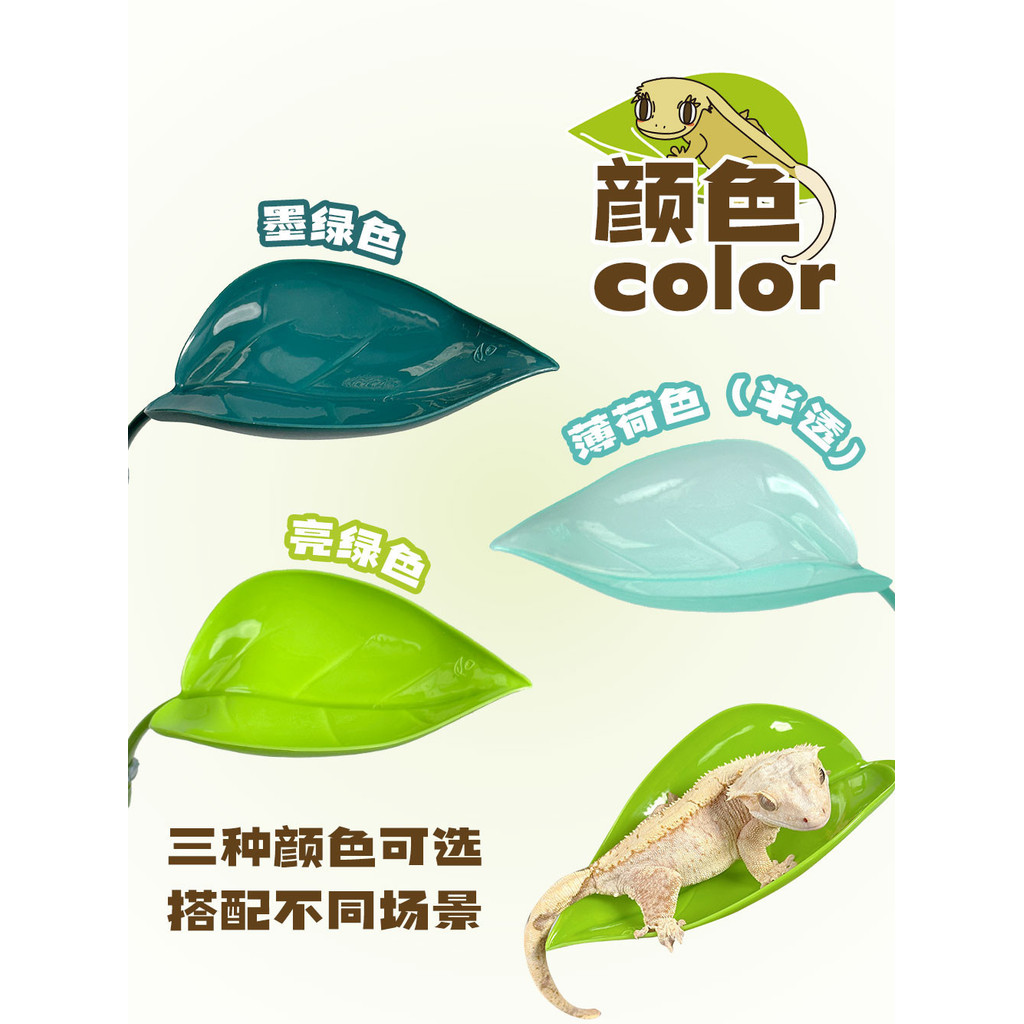 Arboreal Climbing Pet Climbing Leaves Arboreal Eyelashes Gecko Tree ...