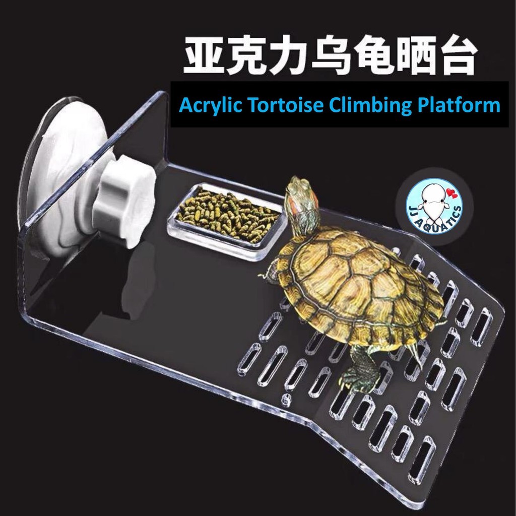 🔥Ready Stock🔥Tortoise Reptile Climbing Kura2 Panjat Platform habitat ...