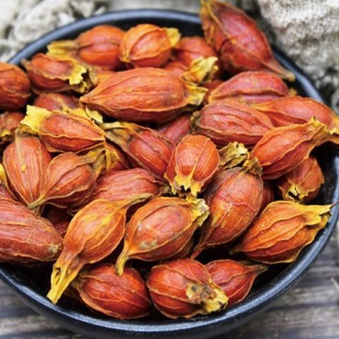 Yellow Gardenia, New Yellow Gardenia, Yellow Gardenia Powder Yellow ...