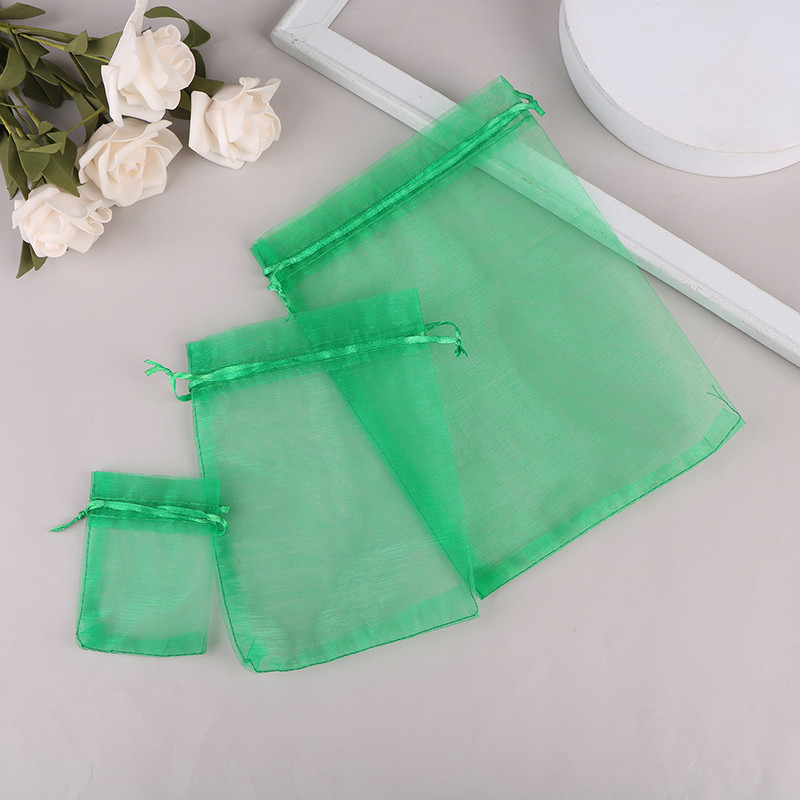 [Isn] 20Pcs Mesh Fruit Bag Strawberry Grapes Fruit Grow Bags Breathable ...