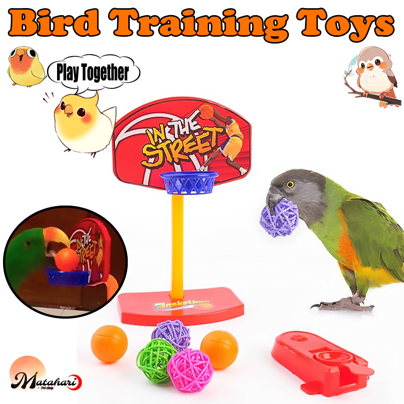 Bird Toys Natural Grass Woven Parrot Chew Beak Stick Grind Teeth Toy ...