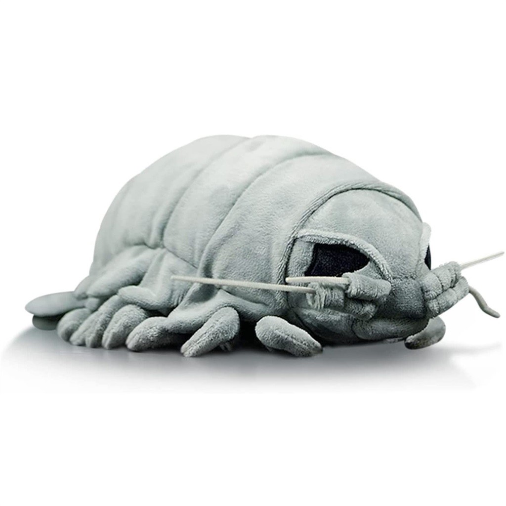 Realistic Giant Isopod Plush Stuffed Animal 12inchs Isopod Plush Toy ...
