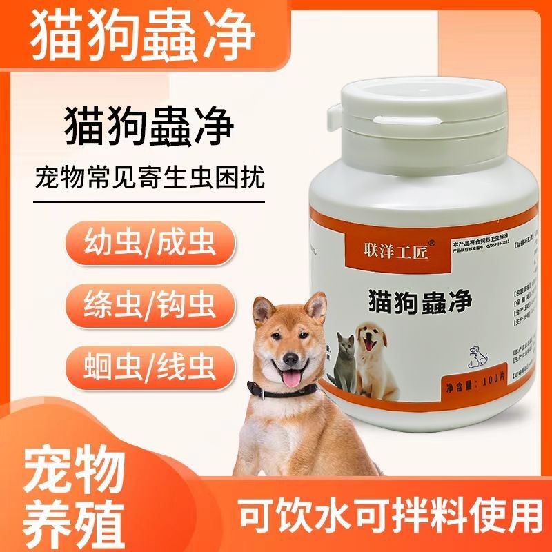 Cat Dog Insect Net 2024 · 1 | Shopee Malaysia