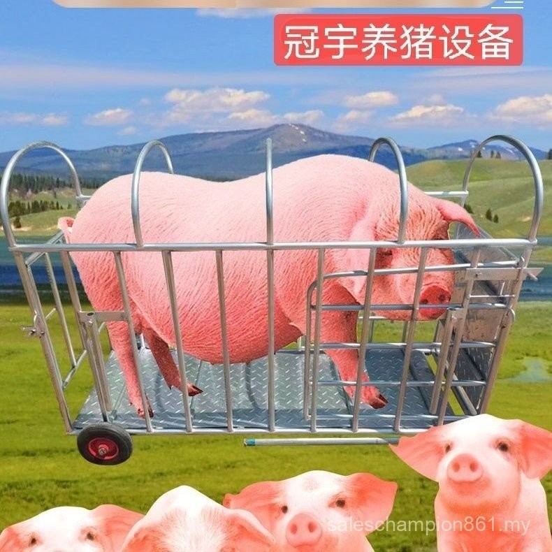 Scale Pig Cage Fat Pig Installed Car Cage Turnover Cage Pig Out of the ...