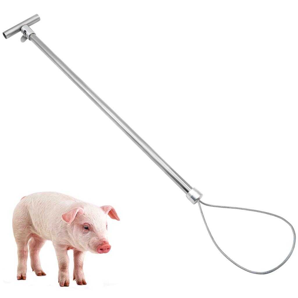 New Animals Pig Catcher Pole Stainless Steel Thickness Wire Rope Animal ...