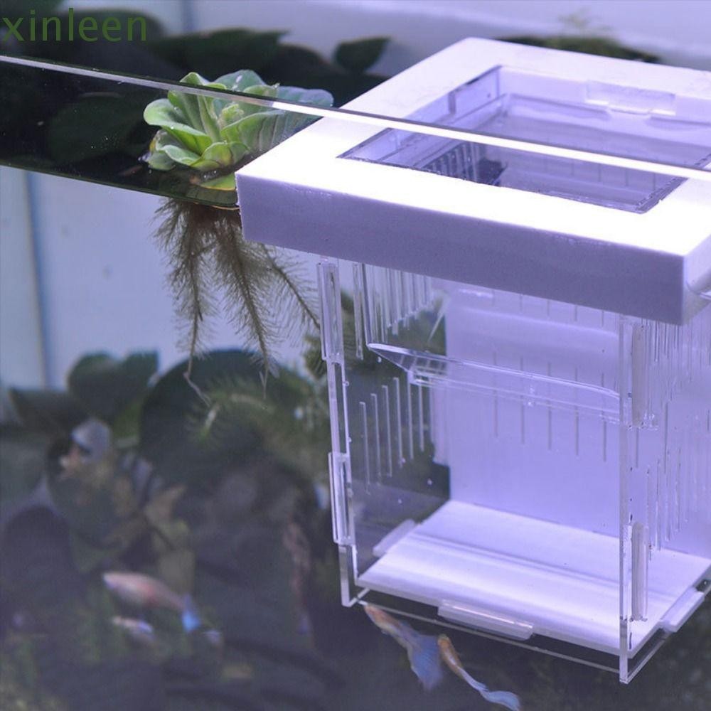 XINLEEN Fish Isolation Box, Acrylic Transparent Floating Hatching Box ...