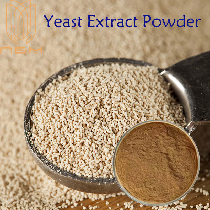 N&M/Yeast Extract Powder 酵母提取物/Healthy food supplements/Increase food ...