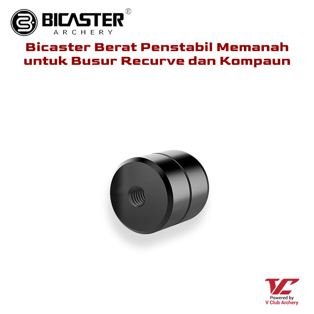 Bicaster BAW-40 Stabilizer Counterweight - 40g | Shopee Malaysia