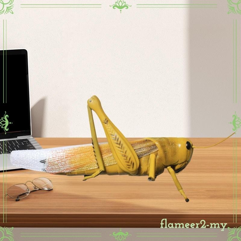 [FlameerdbMY] Locusts Model Educational Classroom Study Display Desktop ...
