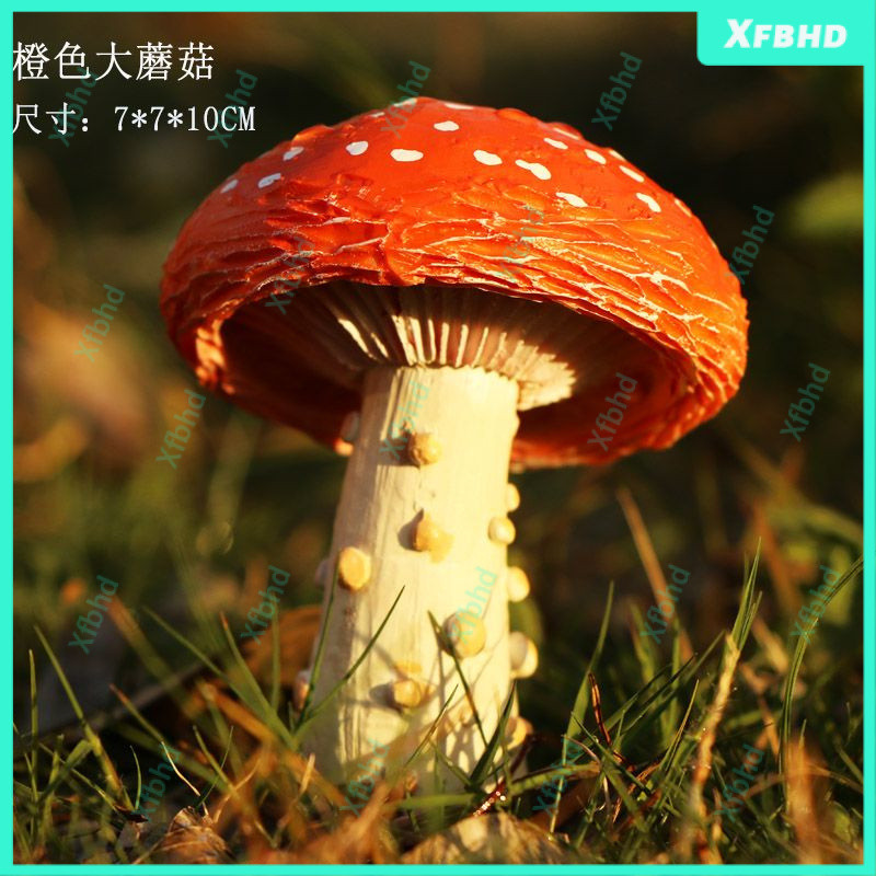 Alat letak barang cendawan luar, payung merah, tiang putih, rumput halaman rumah, taman taman ...