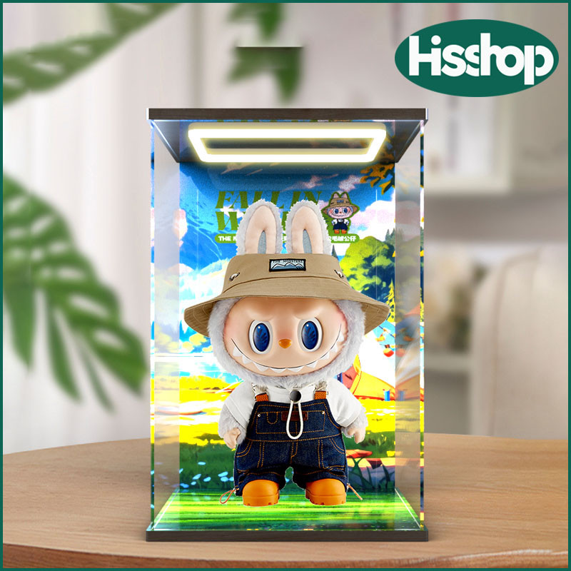 acrylic box,POPMART labubu box,the model box has light,fall in whild ...