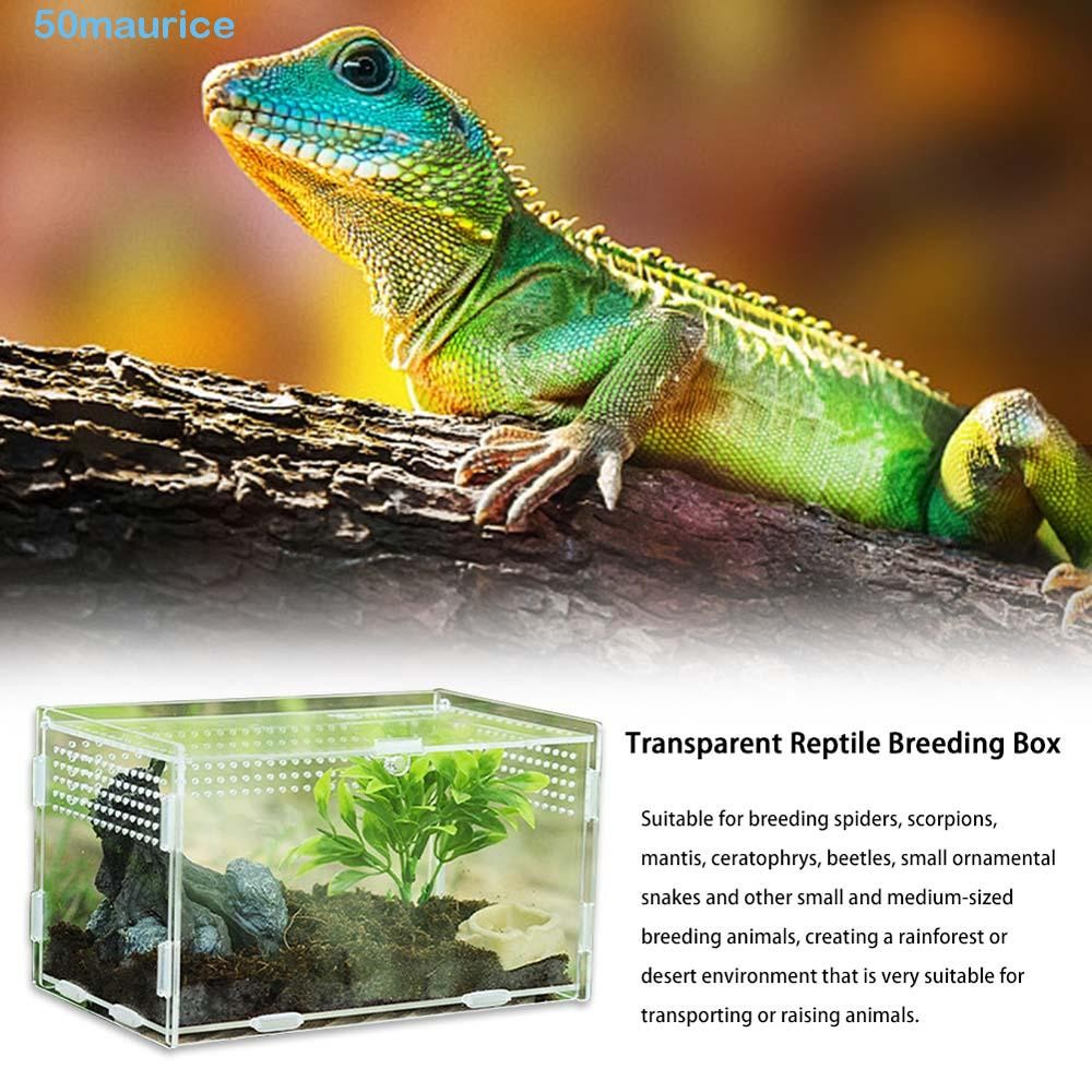MAURICE Reptile Incubator Feeding Box Transparent Frogs Acrylic ...