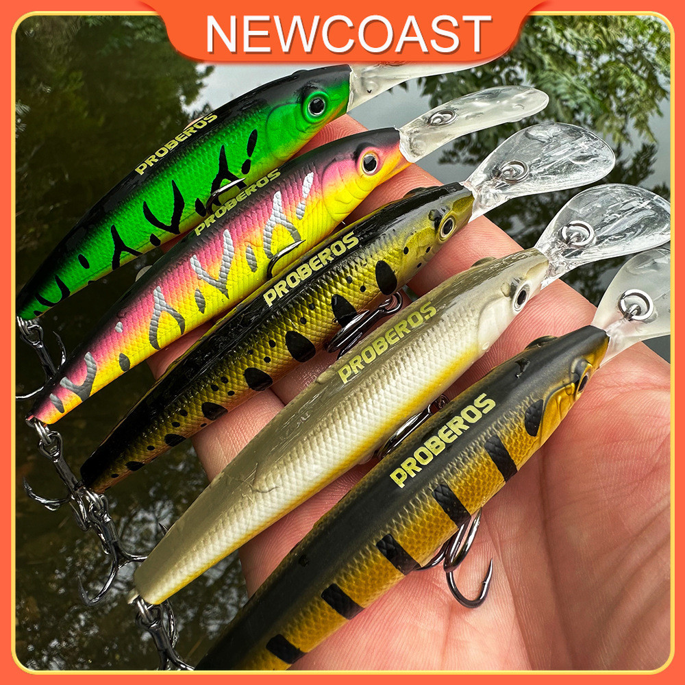 Proberos Floating Fishing Lure 12.5cm 13g Umpan Ikan Minnow Casting ...