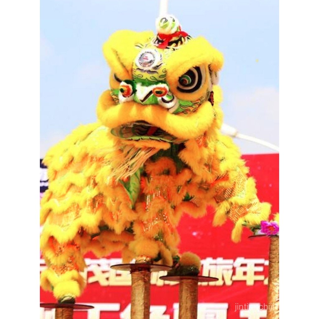 Lion Dance Props Whole Set Lion Dance Adult Full Set Double Single ...