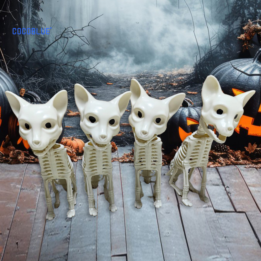 Cocoblue Realistic Cat Skeleton Display Posable Articulated Cat ...