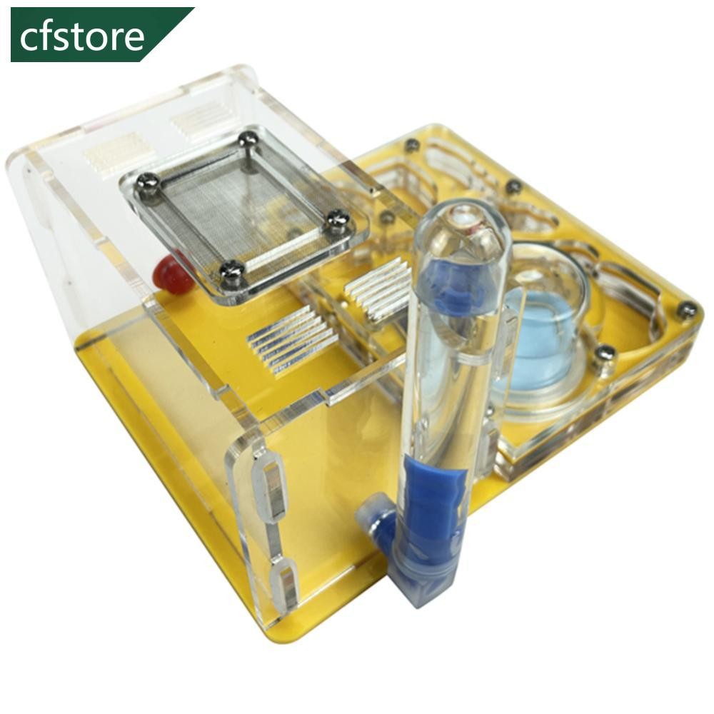 CFSTORE T Design DIY Acryl Flat 3D Ant Farm Ant Nest with Feeding Area ...