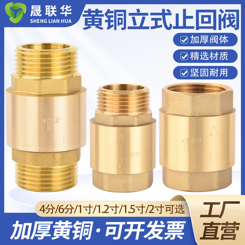 Extra Thick Brass Vertical Check Valve Water Pipe Pipe Check Valve ...