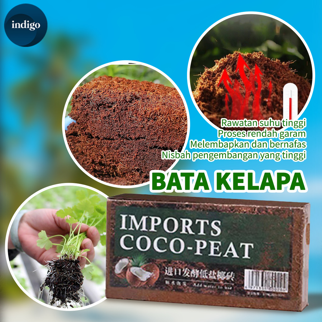 High-Foaming Coconut Bricks Coconut soil Loose Breathable Compressed ...