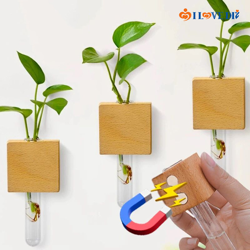 Creative Wood Cube Hydroponic Glass Tube Arrange Flower Pot - DIY ...
