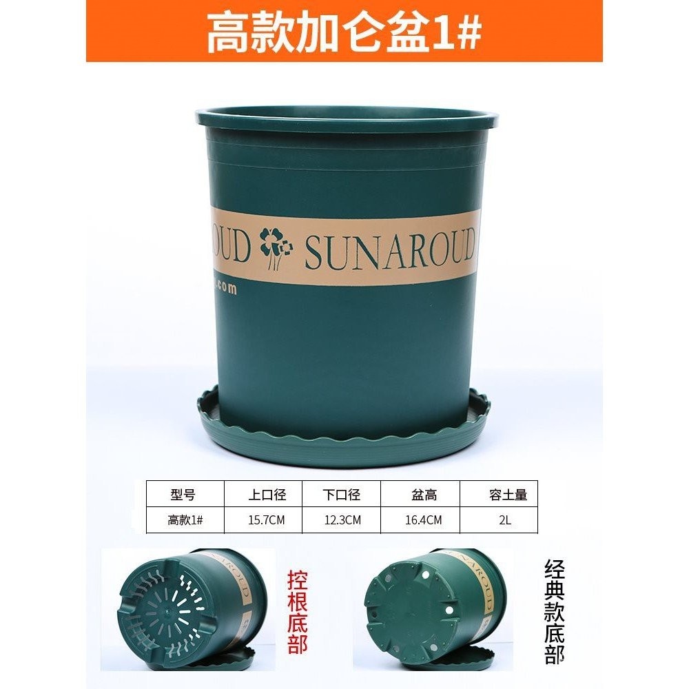 New Control Root Gallon Flower Pot Extra Large Scindapsus Aureus Bonsai ...