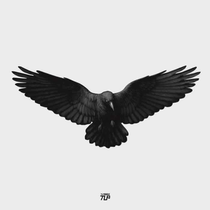 Tlp Reflective Car Sticker Flying Crow Dark Bird Bird Animal Motorcycle ...