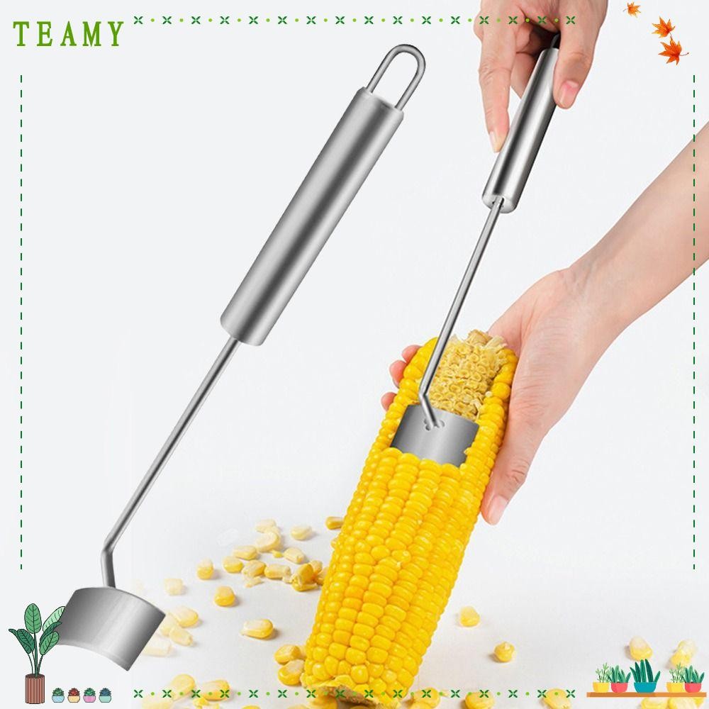 TEAMY Corn Stripper, with Ergonomic Handle Stainless Steel Corn Cob ...
