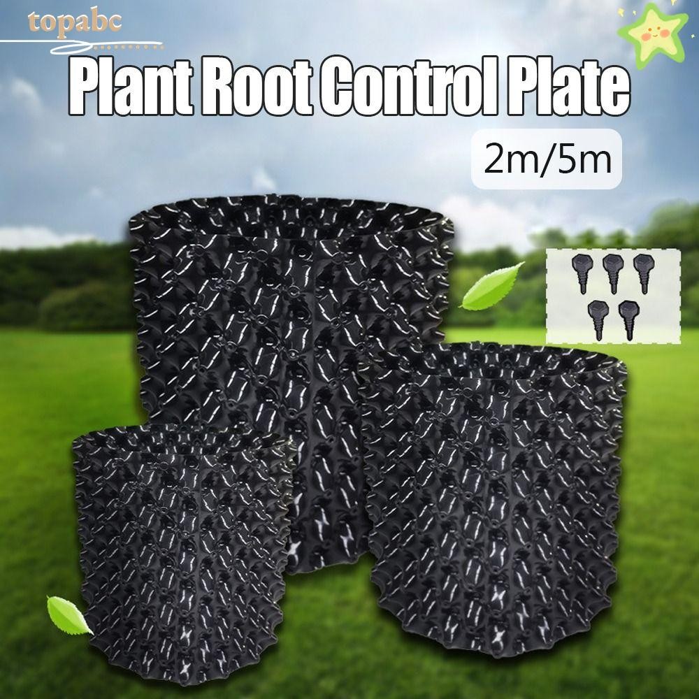 TOPABC Plant Root Control Plate, Air Pruning Tree Bonsai Nursery Pot ...